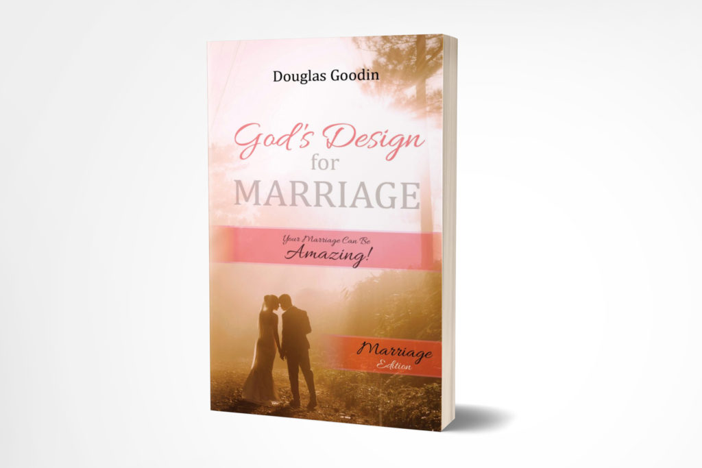 God's Design for Marriage: Marriage Edition - Alethia Books